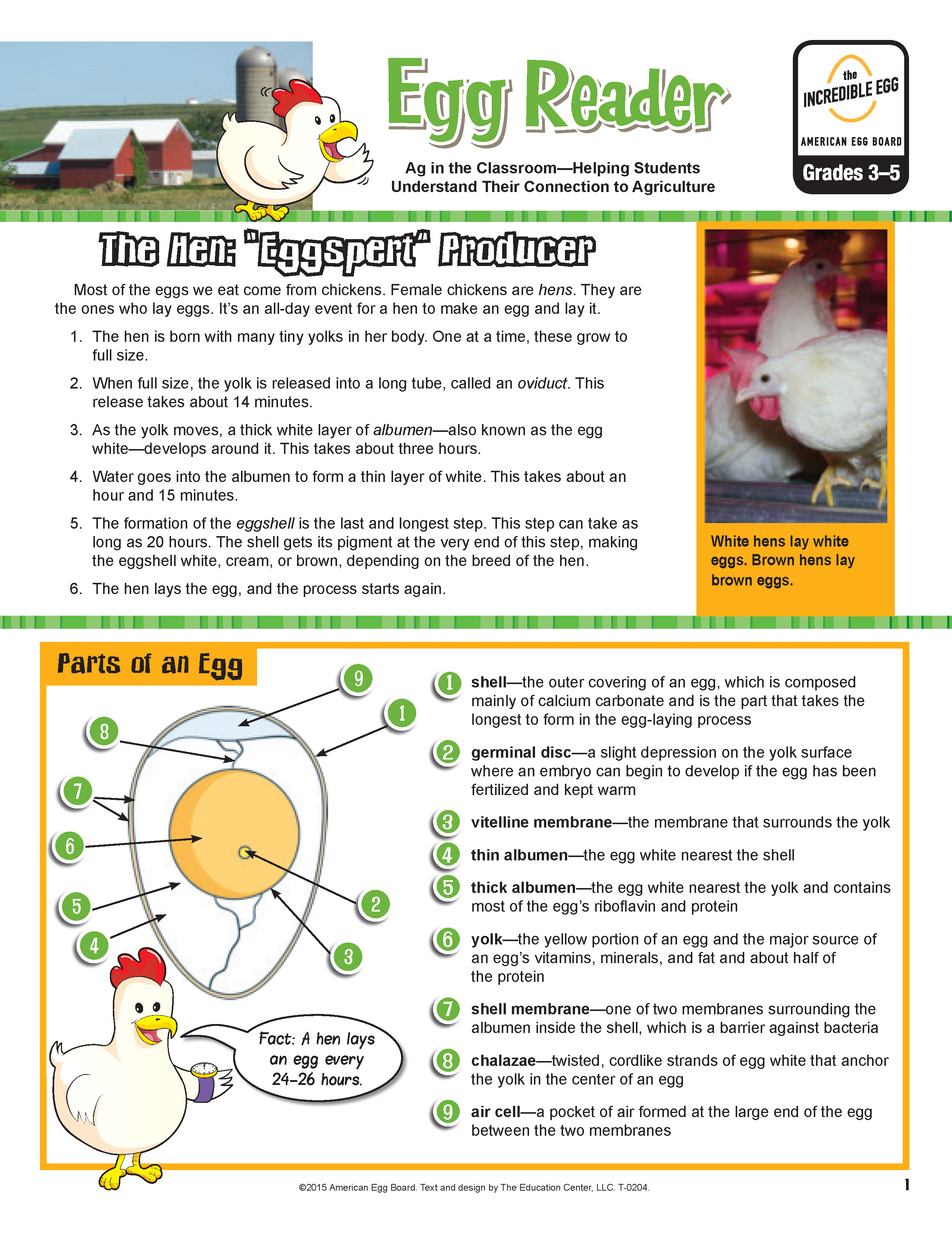 Egg Reader - Official AEB Company Store at the Finer Line